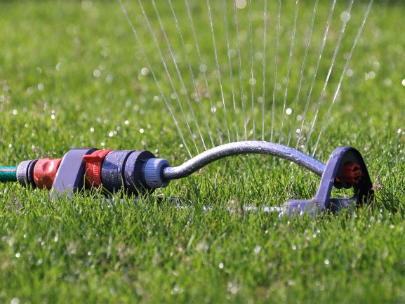 How Often & How Long Should I Water My Lawn? - Crownover Green